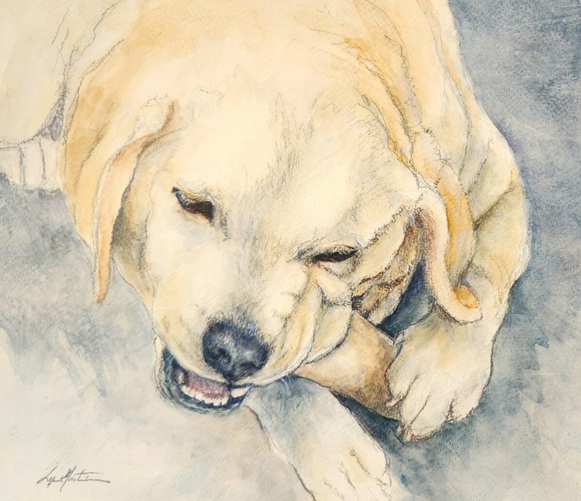 LYNN MARTIN - Watercolor, Oils & Acrylics - Loft Gallery - Occoquan, VA